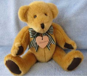 Bear Essentials :: Harrison